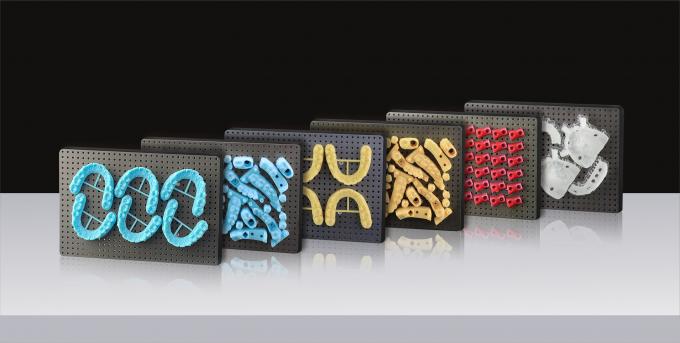 Light Curing Plastic Synthetic Resin Materials Riton Dental Model V1.0